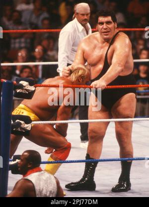 1990 Hulk Hogan Andre the Giant Photo by John Barrett/PHOTOlink Photo ...