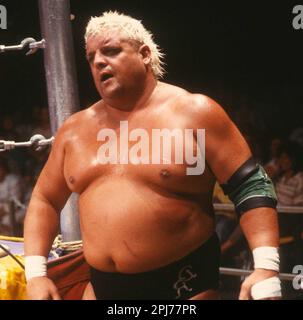 1987 Dusty Rhodes Photo by John Barrett/PHOTOlink Stock Photo - Alamy