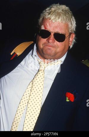 1987 Dusty Rhodes Photo by John Barrett/PHOTOlink Stock Photo - Alamy
