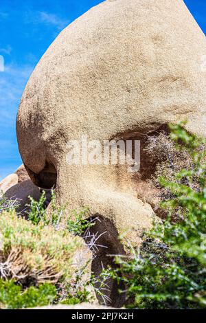Rock formation in the shape of a skull in the Buttermilk region of the ...