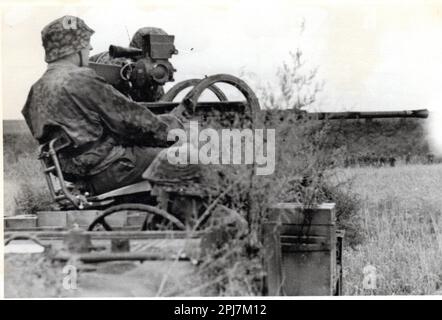 GERMAN WAFFEN-SS soldiers firing an MG26 light machine gun wearing ...