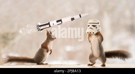 Red squirrels standing with an rocket with a Space Shuttle Stock Photo ...