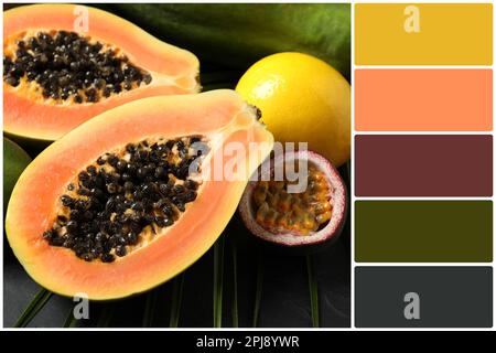Color Palette Of Fresh Summer Fruits Stock Photo - Alamy