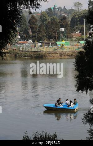 scenic mirik lake surrounded by pine forest at mirik hill station near ...