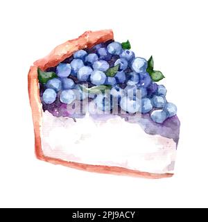 Blueberry. Cheesecake with berries. Watercolor botanical illustrations ...