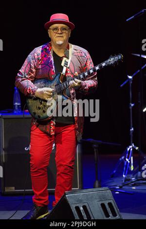 Australian jazz/fusion guitarist Frank Gambale during the Frank Gambale ...