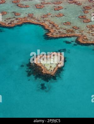 Aerial view of Hardy Reef in Great Barrier Reef, Queensland, Australia ...