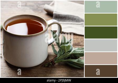 Color palette and cup of aromatic sage tea served with honey on wooden ...