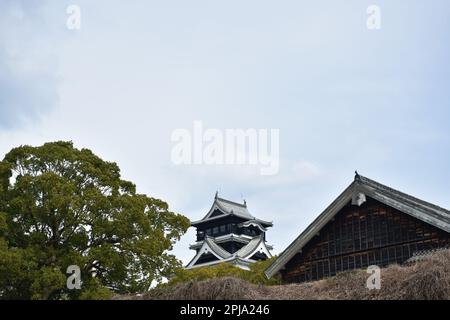 Kumamoto castle destroyed by fire but governor rebuild and conserve in ...
