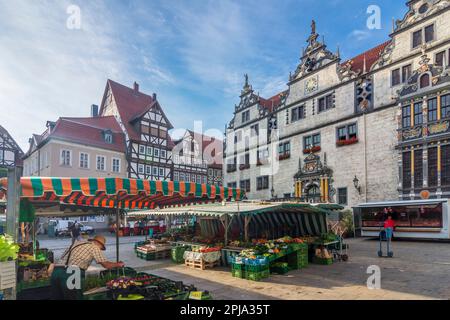 Baumarkt Hann Mnden