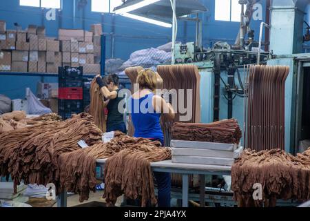production of capron tights. Textile factory with machines and ...