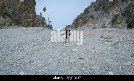 Tourist from the inventory trail in the gully with the gondola lift to ...