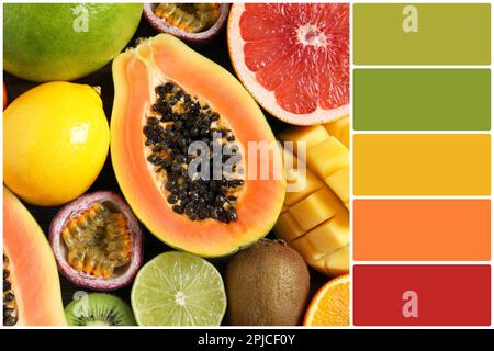 Color Palette Of Fresh Summer Fruits Stock Photo - Alamy