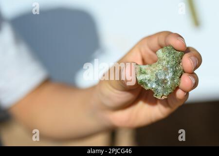 trinitite from Trinity Site, New Mexico isolated on white background ...