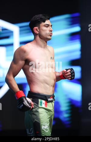 April 1, 2023: Featherweight (L) Alejandro Flores and (R) Daniel Torres exchange punches during ...