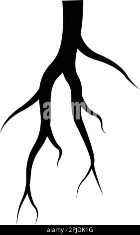 Root vector illustration template design Stock Vector Image & Art - Alamy