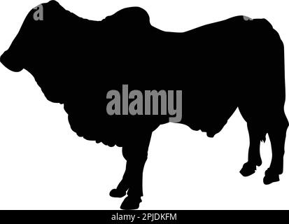black cow logo vektor template Stock Vector Image & Art - Alamy