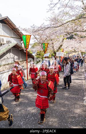 Tatsuno samurai parade under cherry blossom trees with two girls in ...