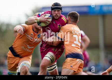 Tyler Duguid of Montpellier Herault Rugby and Wilfrid Hounkpatin of ...