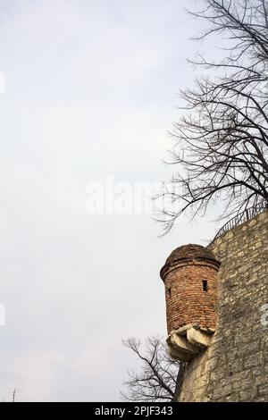 Outer boundary wall of a castle with trees and a cloudy sky as ...