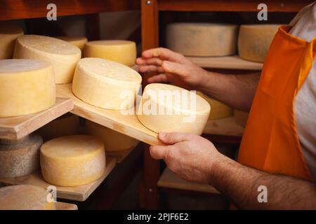 A man cheesemaker in the cellar, beautiful wooden shelves with a ready ...