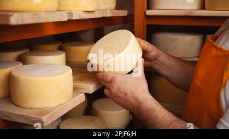 A man cheesemaker in the cellar, beautiful wooden shelves with a ready ...