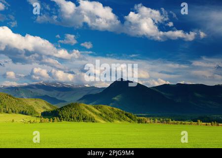 Summer Mountains Landscape with Green forest. Green hills under blue ...