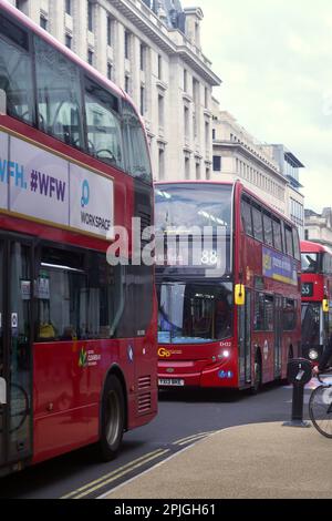 Eco friendly transport for commuting workers and sightseeing tourists ...