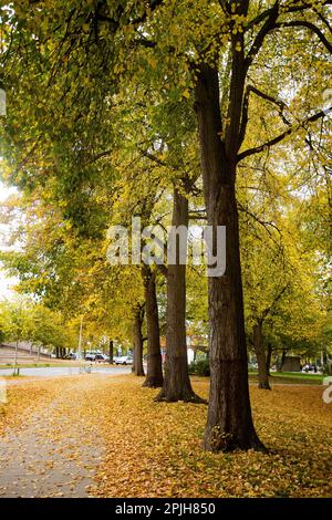 Hannover, Germany - October 14, 2022. Ruins of the Aegidienkirche ...