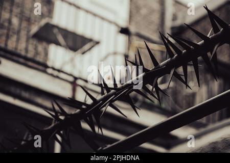 Prickly depression concept. A fence with sharp long metal spikes on a ...