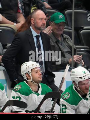 Dallas Stars head coach Peter DeBoer in the second period of an NHL ...
