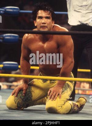 Ricky Steamboat 1993 Photo By John Barrett/PHOTOlink Photo via Credit ...