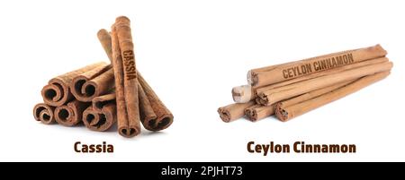 Collage with photos of cassia and ceylon cinnamon sticks. Banner design ...