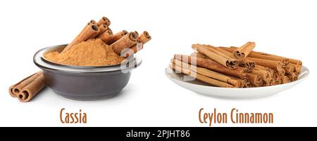 Collage with photos of cassia and ceylon cinnamon sticks. Banner design ...