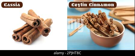 Collage with photos of cassia and ceylon cinnamon sticks. Banner design ...
