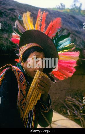Traditional Bolivian pan flute player Stock Photo - Alamy