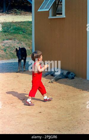 Weekend at Atoka: Jacqueline Kennedy (JBK), Caroline Kennedy (CBK ...