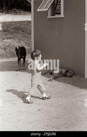 Weekend at Atoka: Jacqueline Kennedy (JBK), Caroline Kennedy (CBK ...