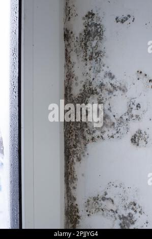 concrete window sill damaged and weathered by concrete spalling Stock ...