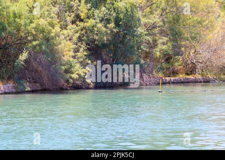 Nahal Hassi - flows within Kibbutz Nir David. The green beach Stock ...