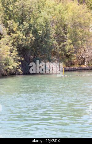 The Hasi River that flows within the Valley of the Springs and the ...