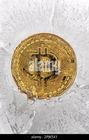 Gold bitcoin on ice background. The concept of the exchange in winter ...