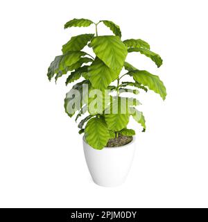 3d rendering of green sprout growing in popcorn bucket on blue ...