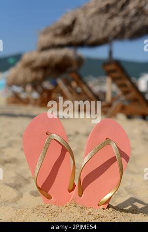Stylish flip flops in sand on beach near sea Stock Photo - Alamy