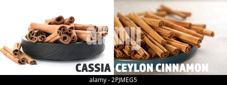 Collage with photos of cassia and ceylon cinnamon sticks. Banner design ...