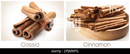 Collage with photos of cassia and ceylon cinnamon sticks. Banner design ...
