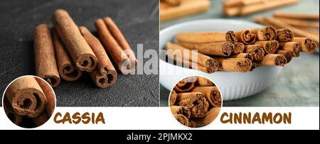 Collage with photos of cassia and ceylon cinnamon sticks. Banner design ...