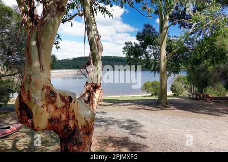 Lysterfield Lake in Lysterfield Park, Melbourne, Victoria Stock Photo ...