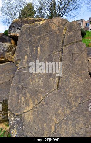 Limestone in turbiditic facies. Eocene, Lutecian. 4 Mya. Rocks ...