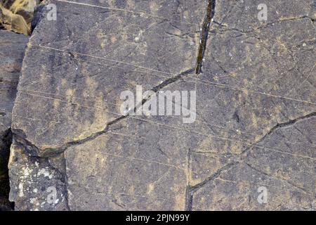 Limestone in turbiditic facies. Eocene, Lutecian. 4 Mya. Rocks ...
